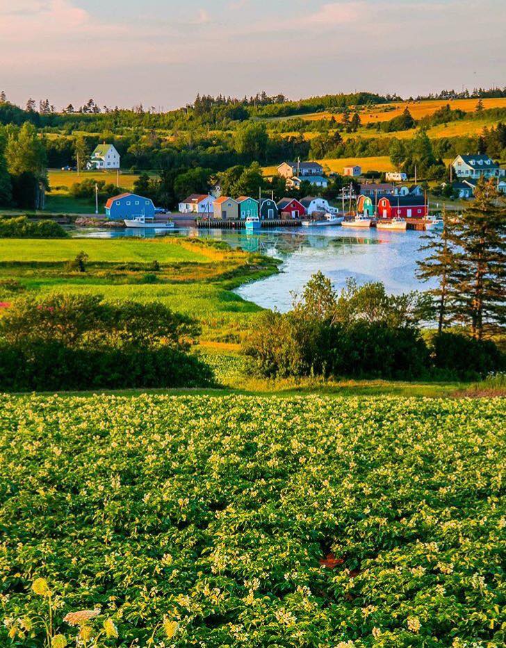 PEI's Most Loved Photos of 2017 - Welcome PEI