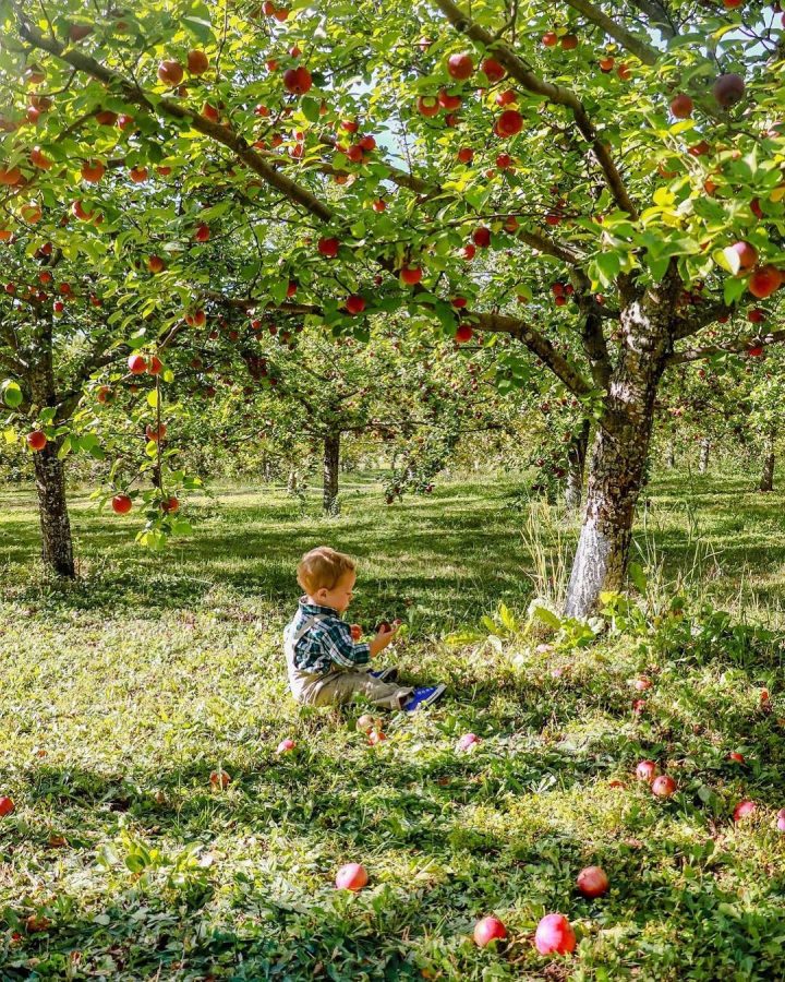 5 Ways to Fall in Love with a PEI Autumn - Welcome PEI