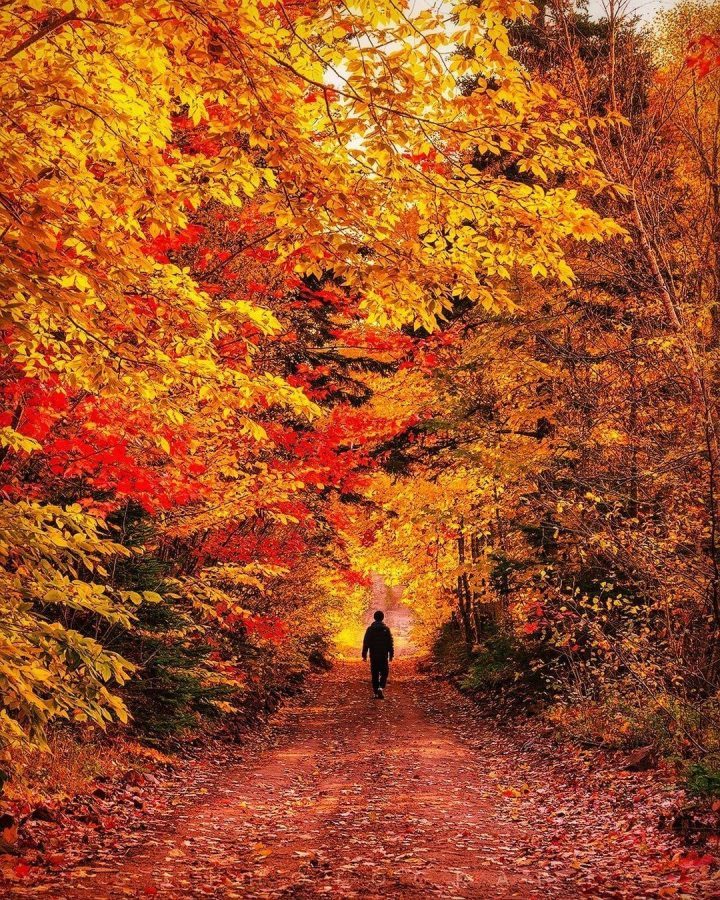 The Dazzling Colours of a PEI Fall - Welcome PEI