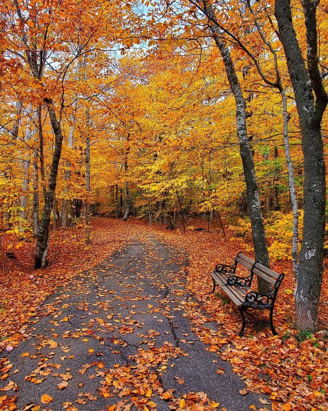 The Dazzling Colours of a PEI Fall - Welcome PEI