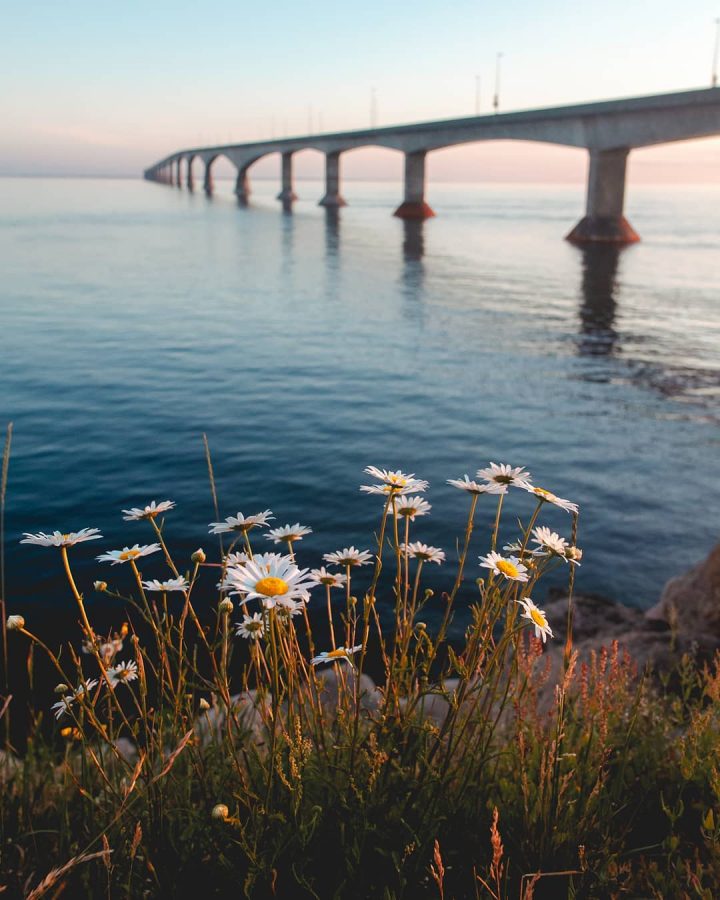 2020's Most Loved Photos of PEI - Welcome PEI