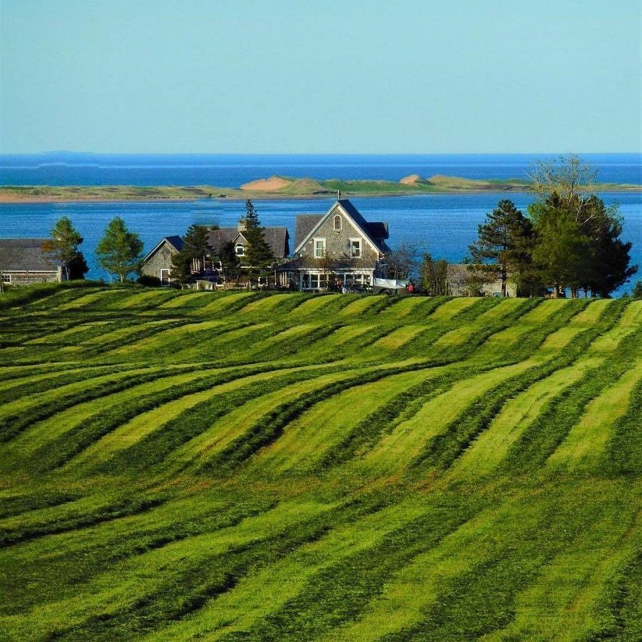 Daydreams of a PEI Summer - Welcome PEI